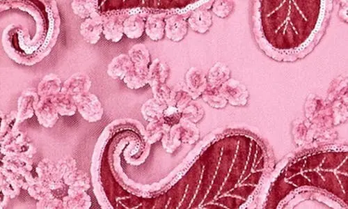 Endless Rose Sleeveless Lace A-line Dress