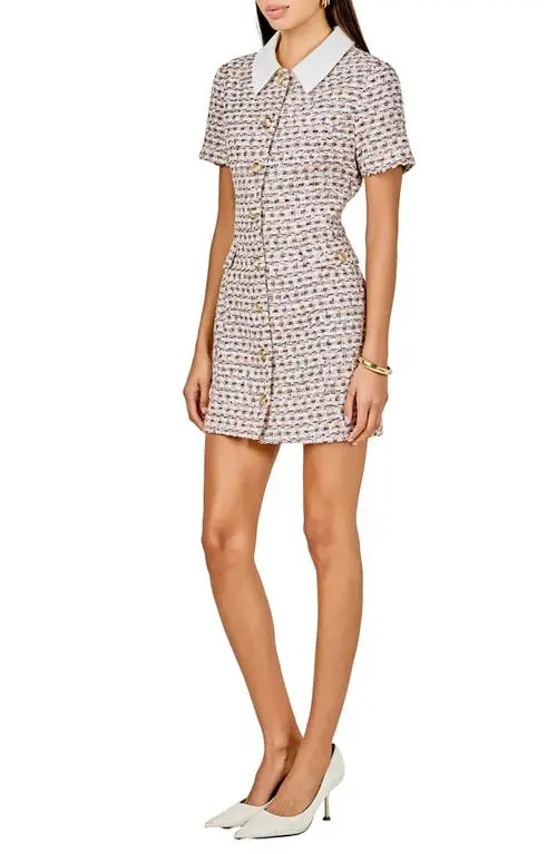 Endless Rose Tweed Mini Dress