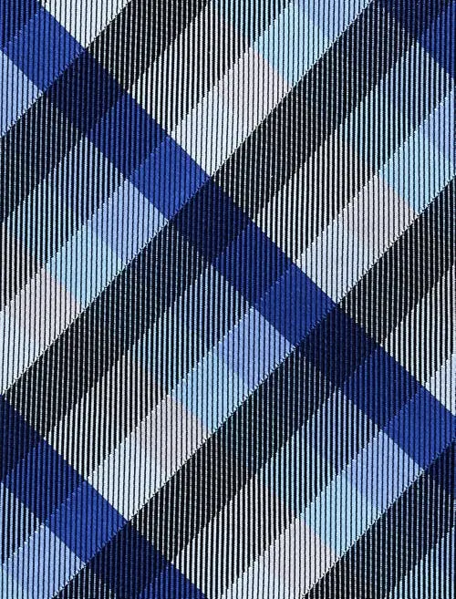 SYNRGY Multi Check Neck Tie - Blue