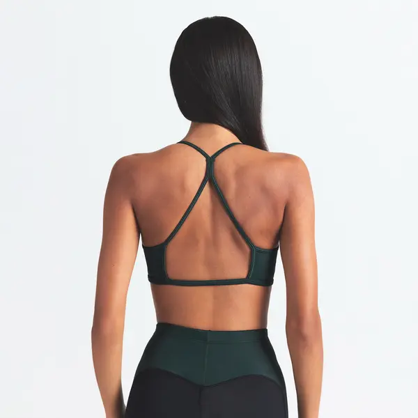 Nike Skims Shine Micro-scoop Bra - Black