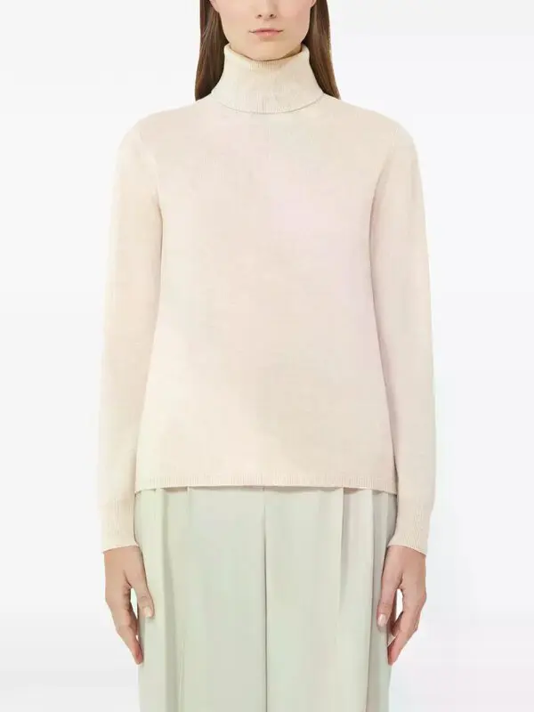 Max Mara Roll-neck Sweater