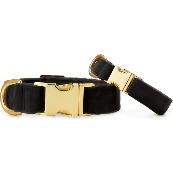 THE FOGGY DOG Velvet Dog Collar - Black