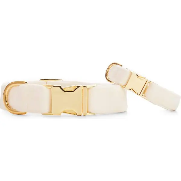 THE FOGGY DOG Velvet Dog Collar - Ivory