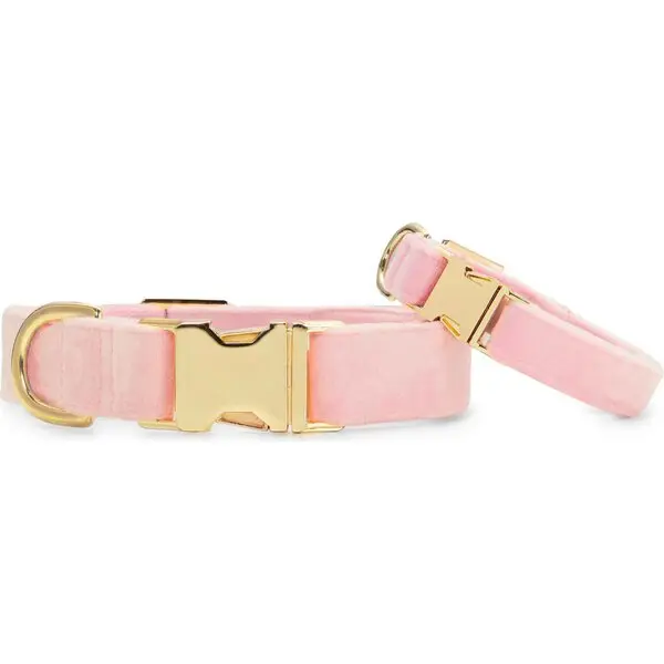 THE FOGGY DOG Velvet Dog Collar - Pink