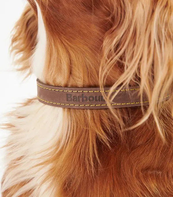 Barbour Leather Dog Collar