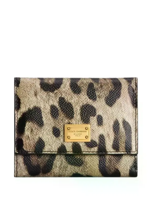 Dolce & Gabbana Leopard-print Zip Wallet - Brown