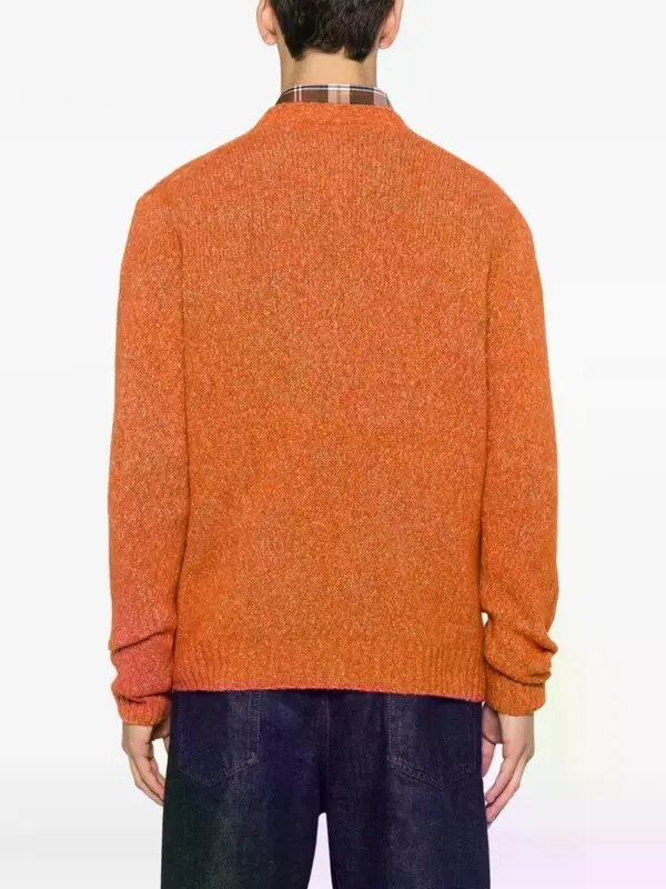 FERRANTE Crew-neck Long-sleeve Sweater