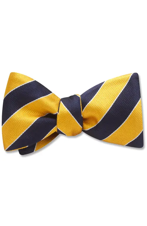 BEAU TIES OF VERMONT Scholastic Bow Tie - Pre-tied
