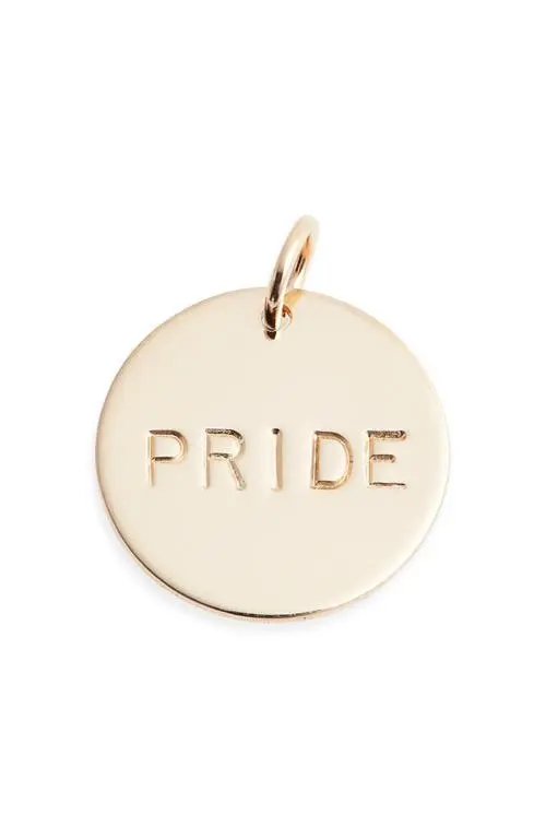 NASHELLE Pride Charm - Gold Fill