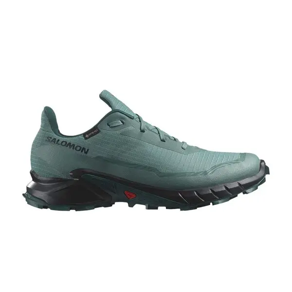 SALOMON Alphacross 5 Gore-tex - Green
