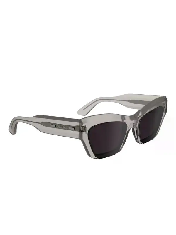 Calvin Klein Geometric Cat-eye Acetate Sunglasses