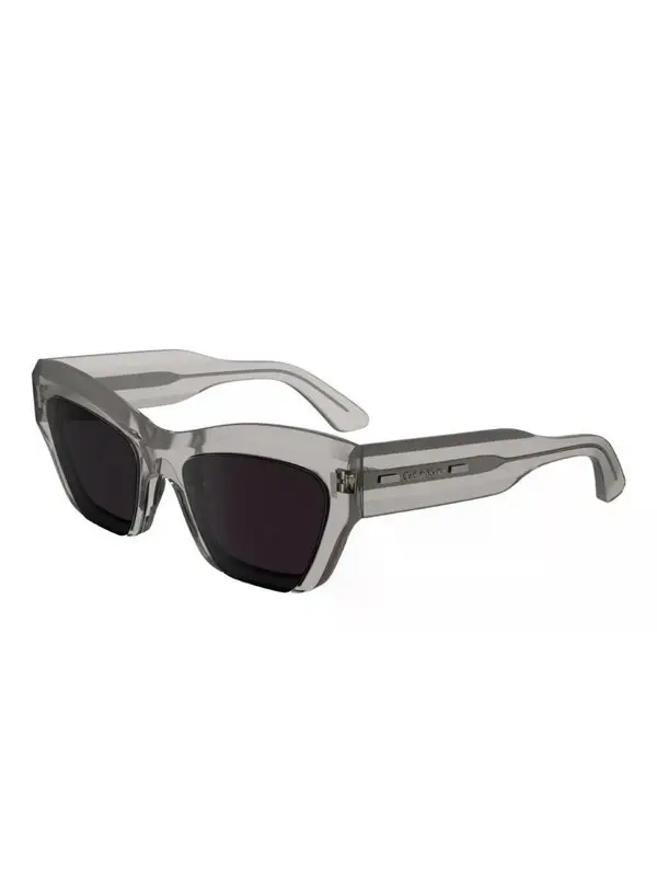 Calvin Klein Geometric Cat-eye Acetate Sunglasses