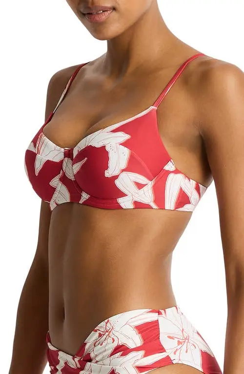 SEA LEVEL Veridian Underwire Balconette Bikini Top - Ruby