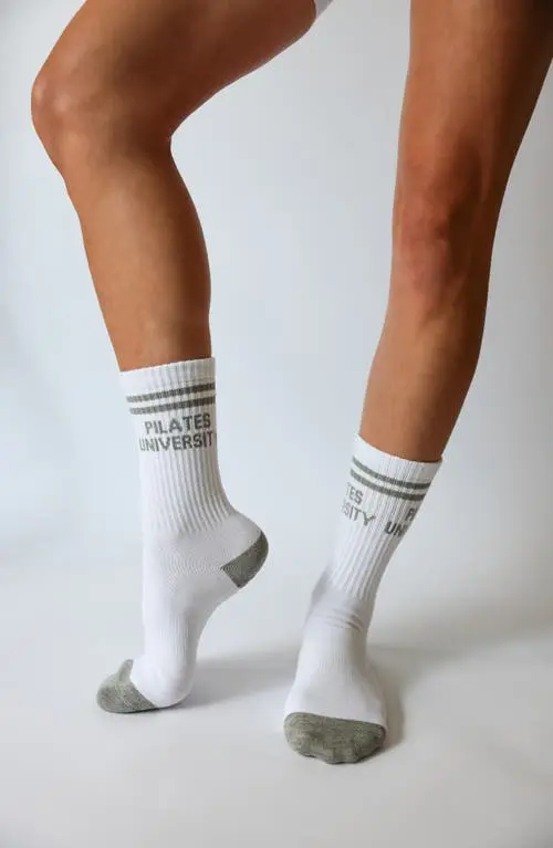PILATES UNIVERSITY 1883 Assorted Ivy League Crew Socks