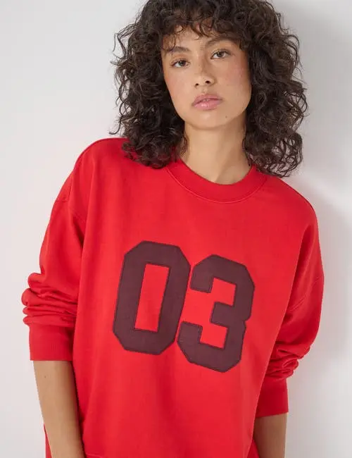 HUSH Collegiate Graphic Sweatshirt