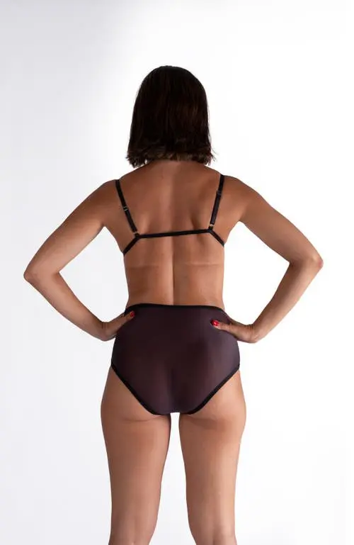 LECHERY® Lustrous Sheer High-waisted Brief