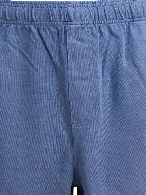 StÜssy Relaxed Fit Shorts - Blue