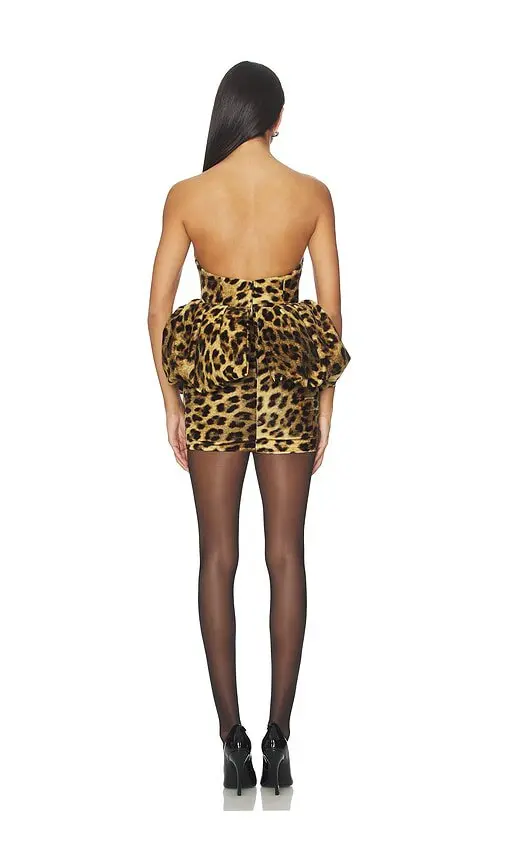 open lace back dress Leopard Sweetheart A Line Chiffon Ruffled Long Prom Dresses with Appliques, Leopard / 00 main image 0
