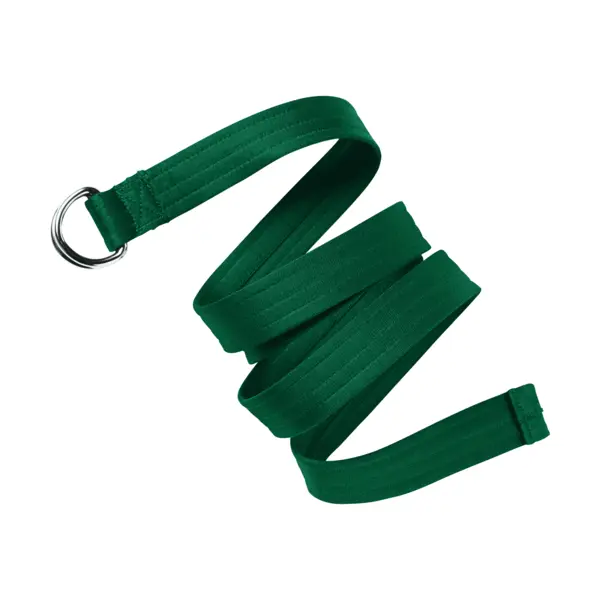 Nike Football Belt - Green