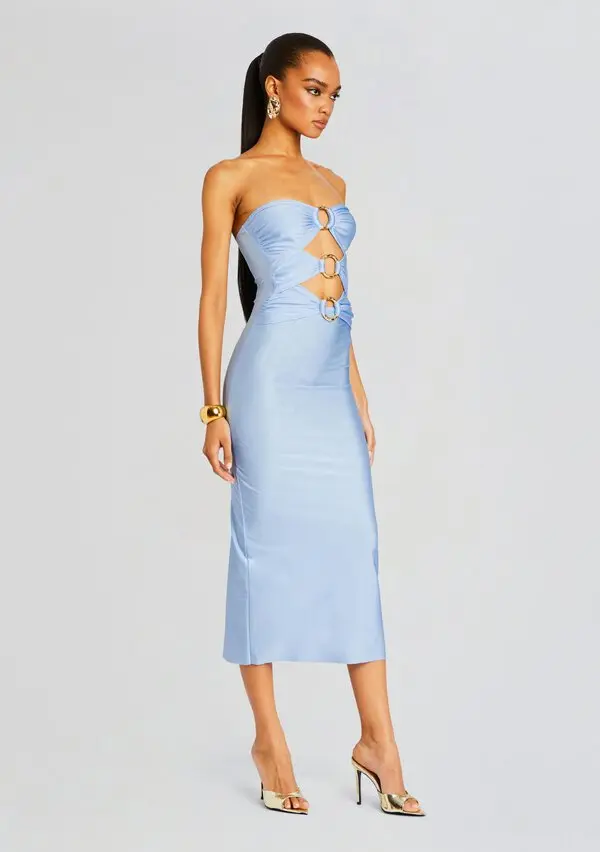 SHANI SHEMER Lily Lycra Maxi Dress