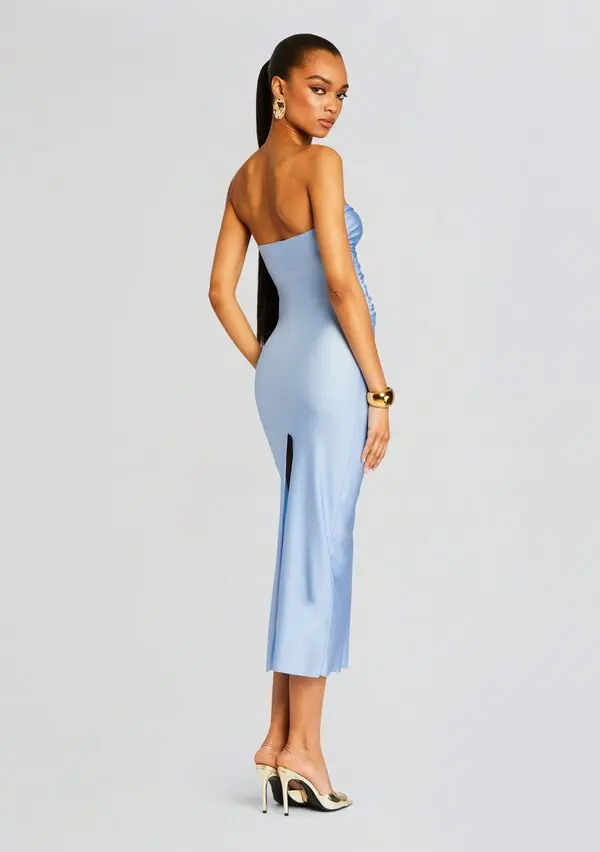 SHANI SHEMER Lily Lycra Maxi Dress