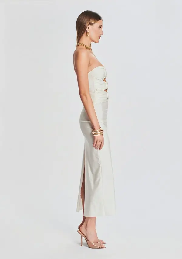 SHANI SHEMER Lily Lycra Maxi Dress