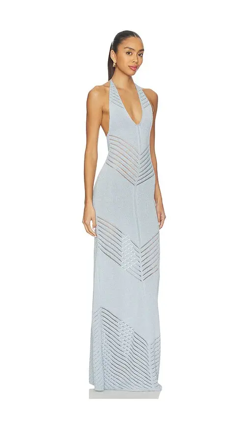 Devon Windsor Roma Maxi Dress