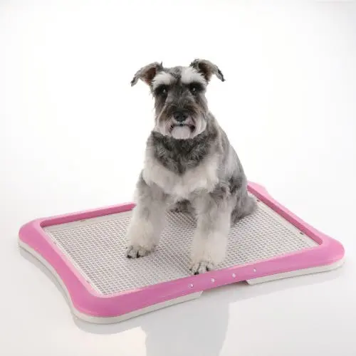 RICHELL Paw Trax Dog Potty Training Tray