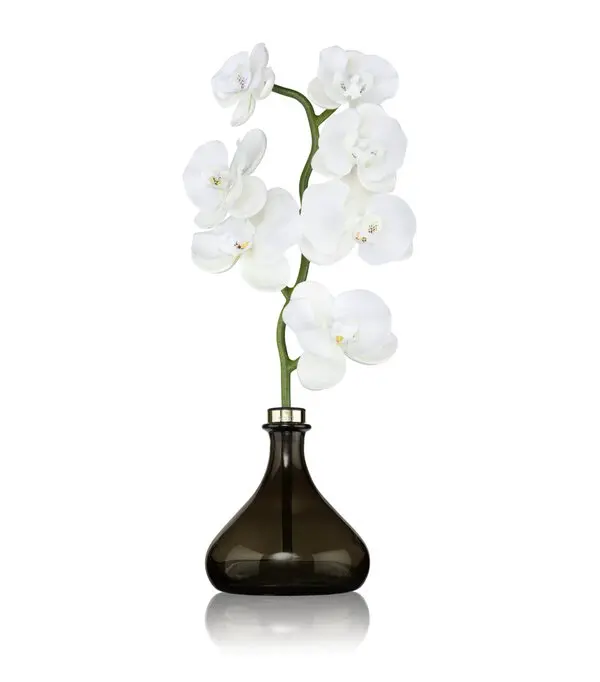 SENTI The Orchid Bergamot And Ginger Diffuser - Black