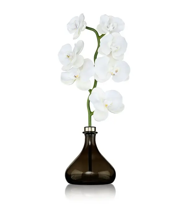 SENTI The Orchid Amber And Oud Diffuser - Black