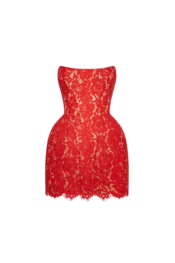 MILLA Fitted Lace Mini Dress - Red