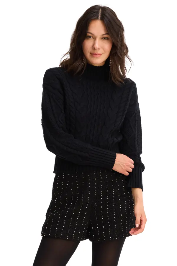 Allison Rylee Pullover Sweater - Black