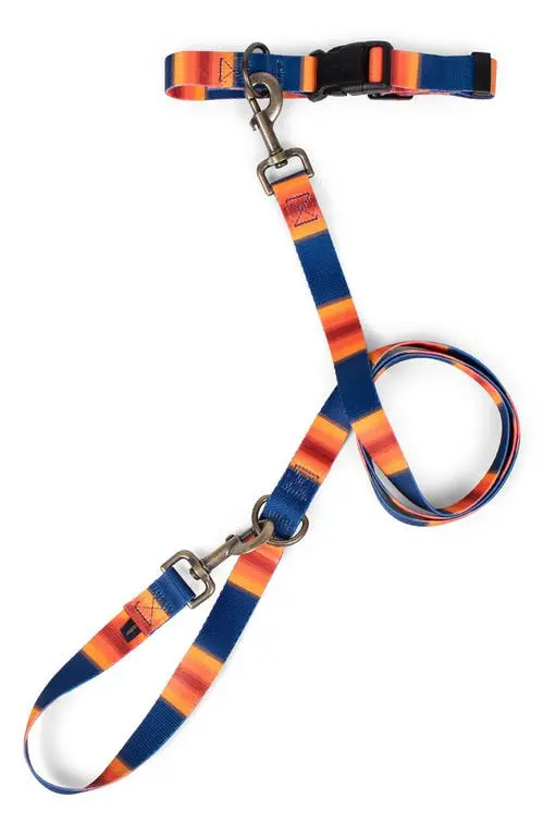 Pendleton National Park Adventure Leash - Grand Canyon