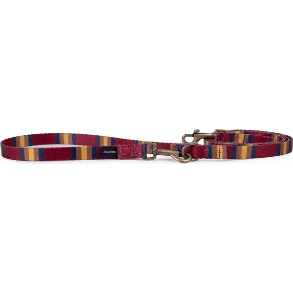 Pendleton National Park Adventure Leash - Zion
