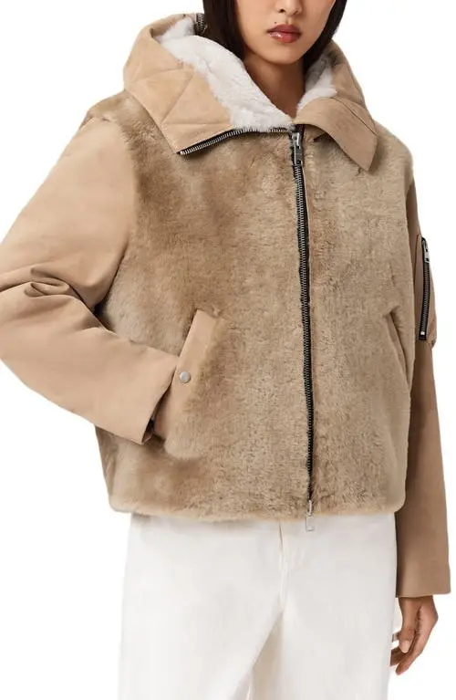 ALLSAINTS Dexter Genuine Shearling Bomber Jacket - Taupe Brown