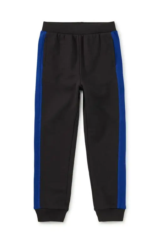 TEA COLLECTION Colorblock Stripe-out Joggers - Jet Black