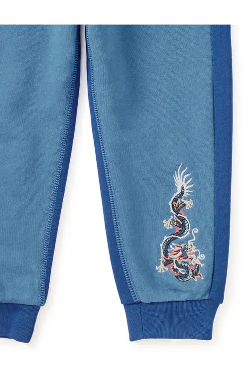 TEA COLLECTION Colorblock Dragon Joggers