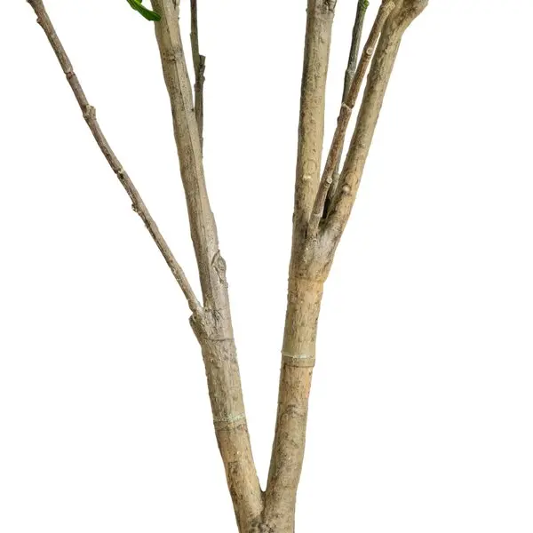 NEARLY NATURAL 7' Artificial Dogwood Tree