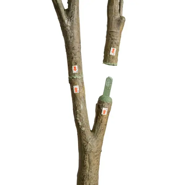 NEARLY NATURAL 7' Artificial Dogwood Tree