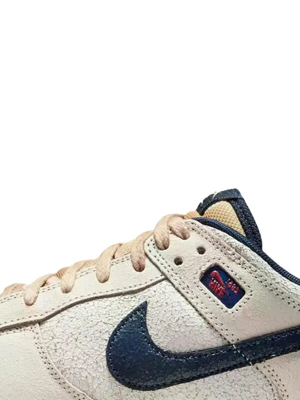 Nike Dunk Low Sneakers