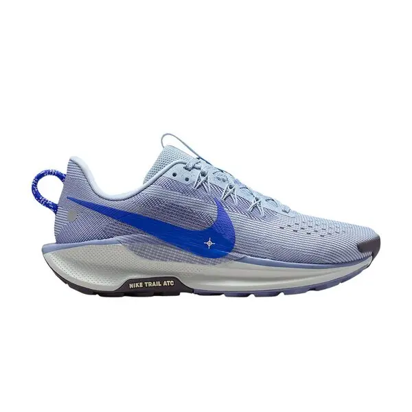 Nike Pegasus Trail Sneakers - Blue