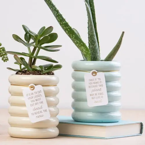 TOTALEE GIFT Fake It Mint Planter Ceramic