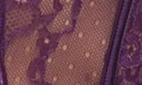 ROMA CONFIDENTIAL Lace Sheer Teddy