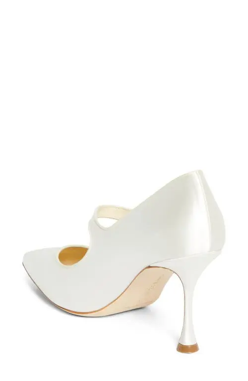 Manolo Blahnik Camparinew Pointed-toe Mary Jane Pumps