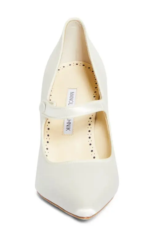 Manolo Blahnik Camparinew Pointed-toe Mary Jane Pumps