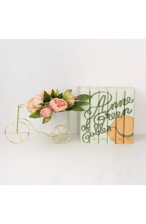 JUNIPER BOOKS Anne Of Gables Book Set