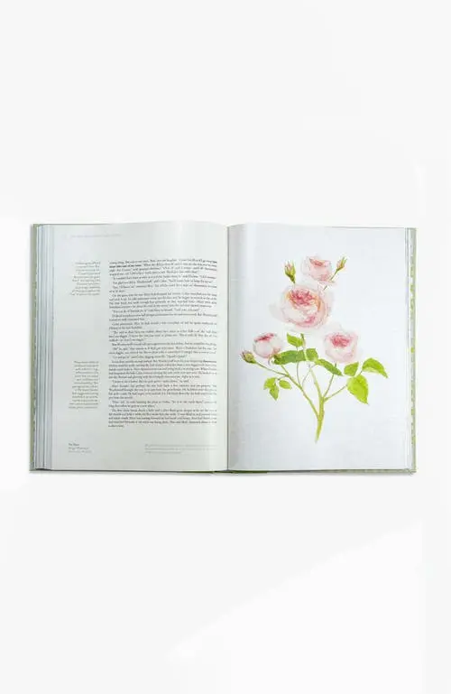 BOND & GRACE The Secret Garden Art Novel Collector's Edition