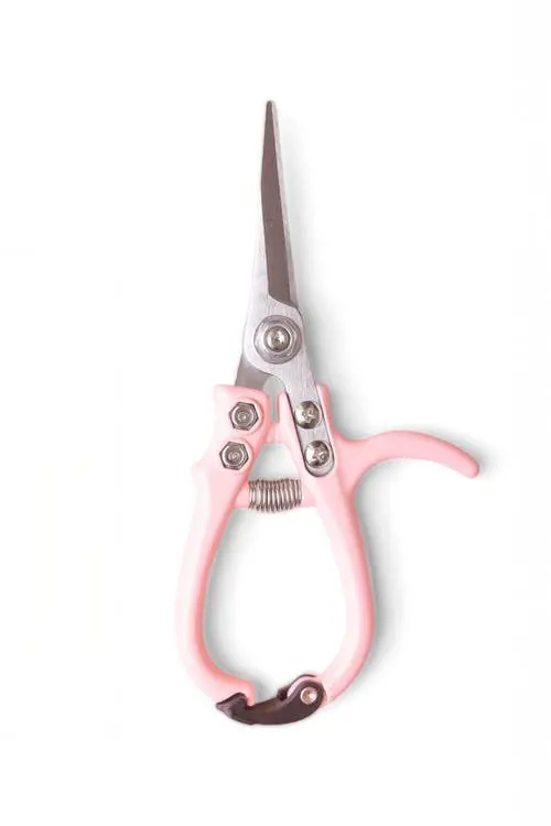 JUNGLE CLUB Pruning Shears - Pink