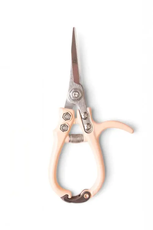 JUNGLE CLUB Pruning Shears - Vanilla