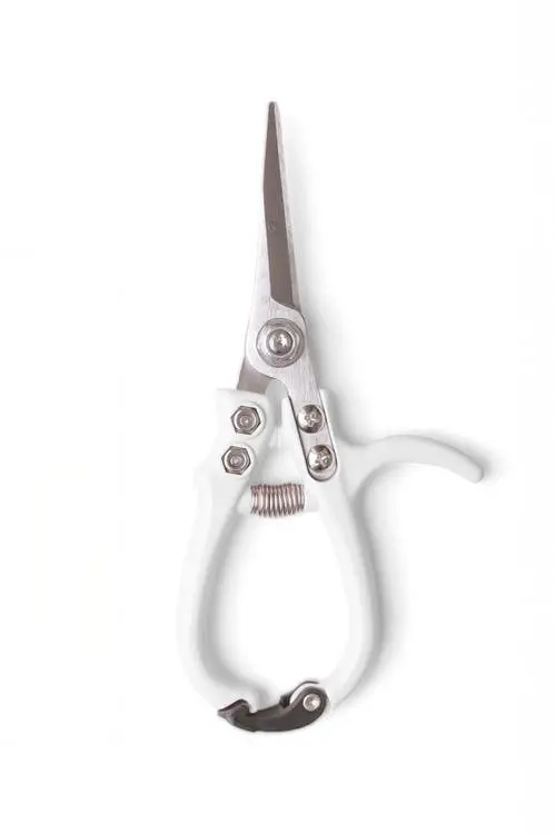 JUNGLE CLUB Pruning Shears - White